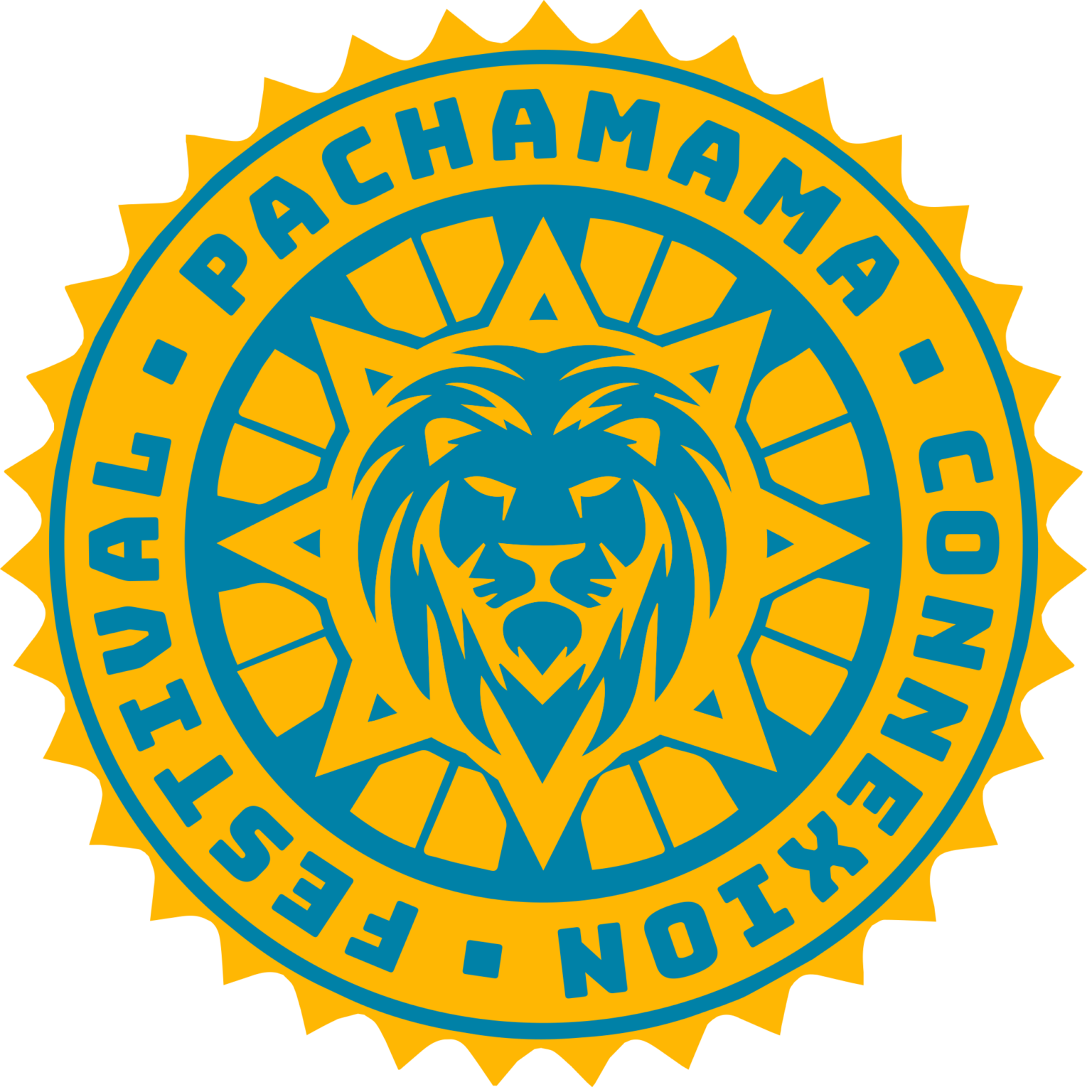 Programmation Pachamama 2025 | Line-up exceptionnel